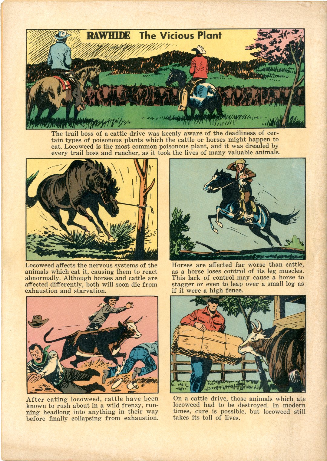 RAWHIDE / Issue #1 | Sold Details | Four Color Comics